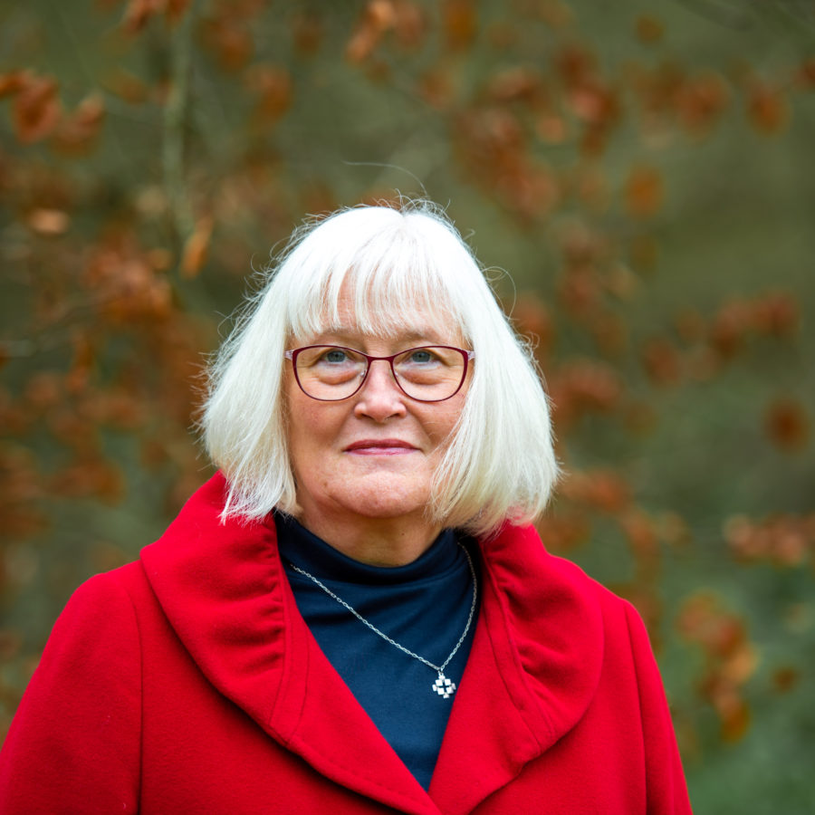 Barbara Alt › SPD Lich